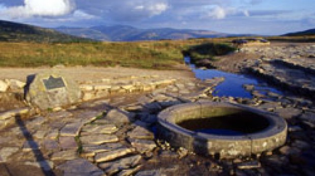 Elbe:Geboren von wilder Natur | quell-online.de
